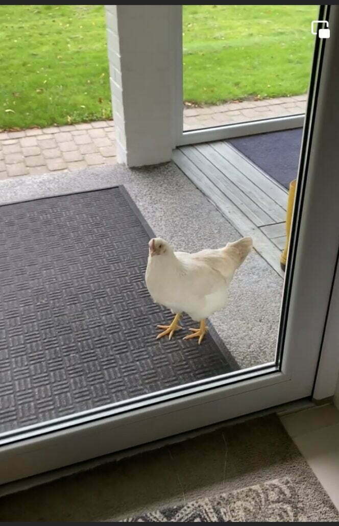 Blogg - Svensk Mattdesign